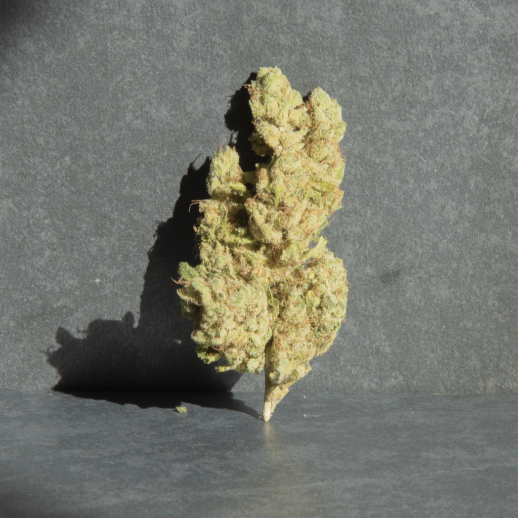 Mango Kush - 50g - Senzaya - CBD Premium Flowers