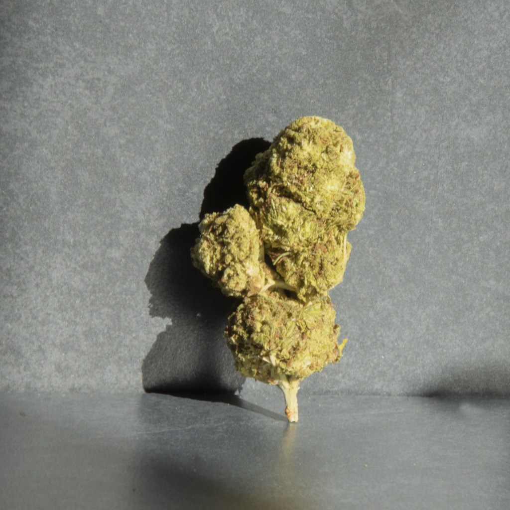 Spooky Berry Haze - 2g - Senzaya - CBD Premium Flowers